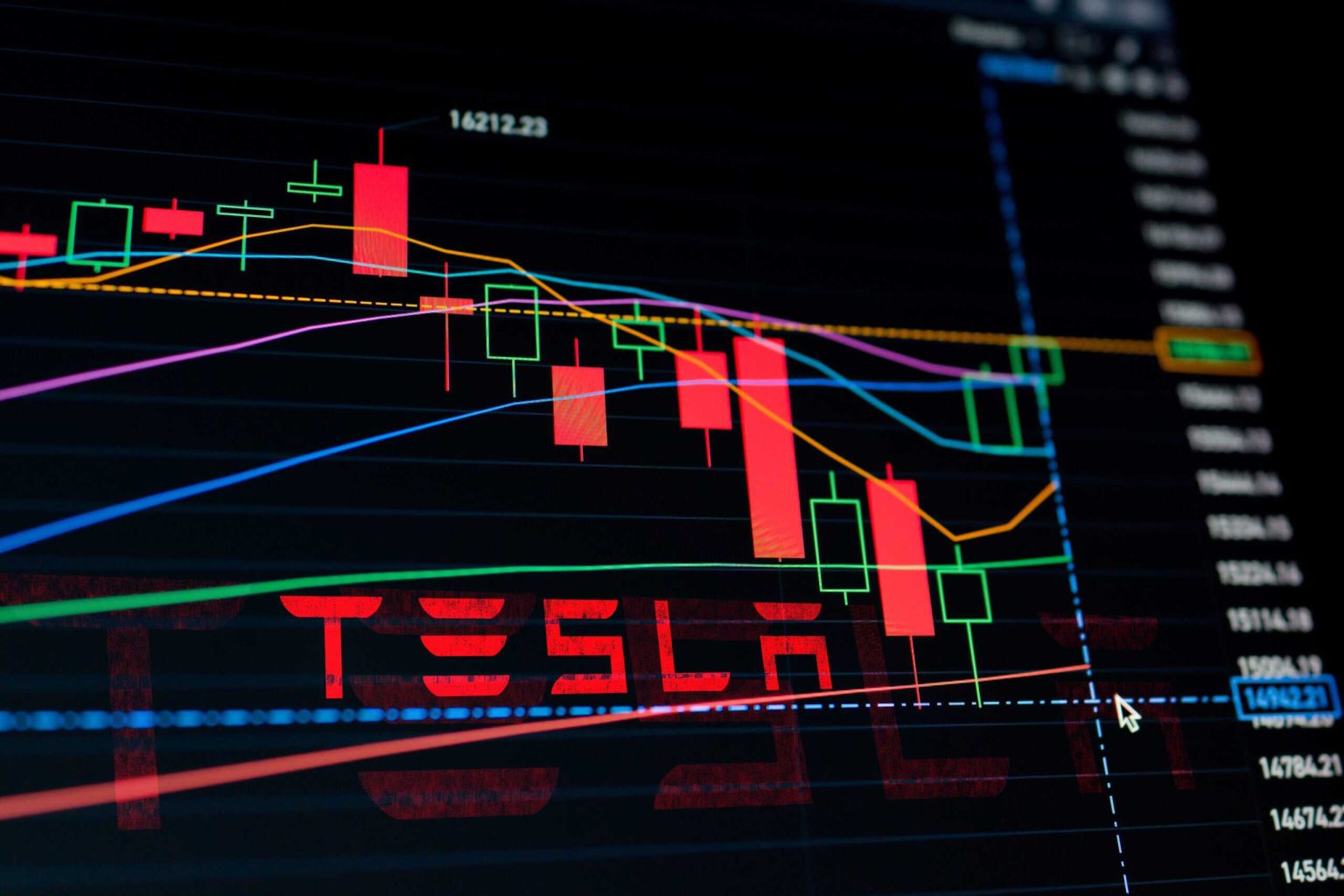 10 Stocks Cathie Wood Is Loading Up On in 2026 - My Investing News